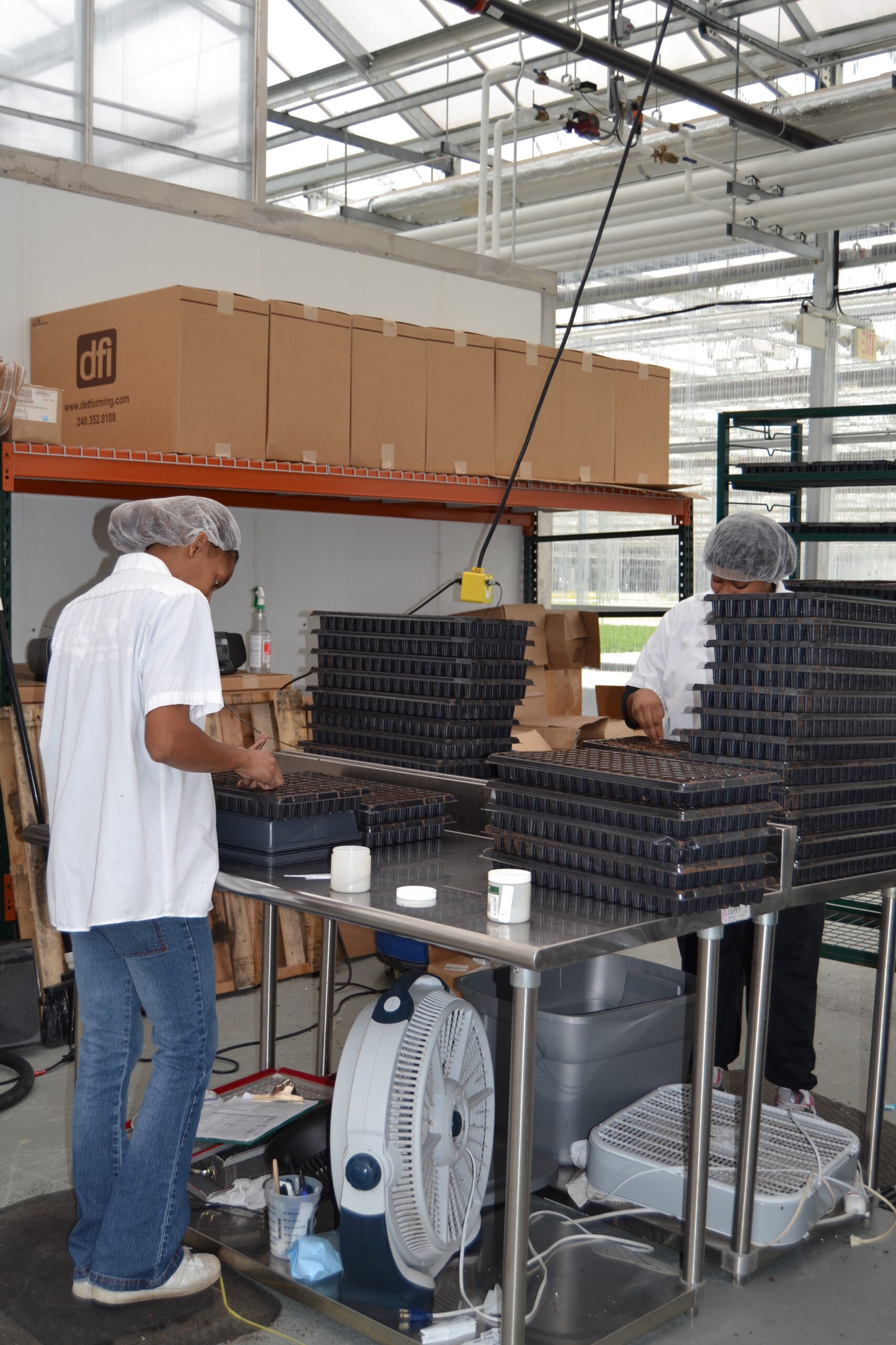 How is the CEA Alliance making the controlled environment agriculture ...